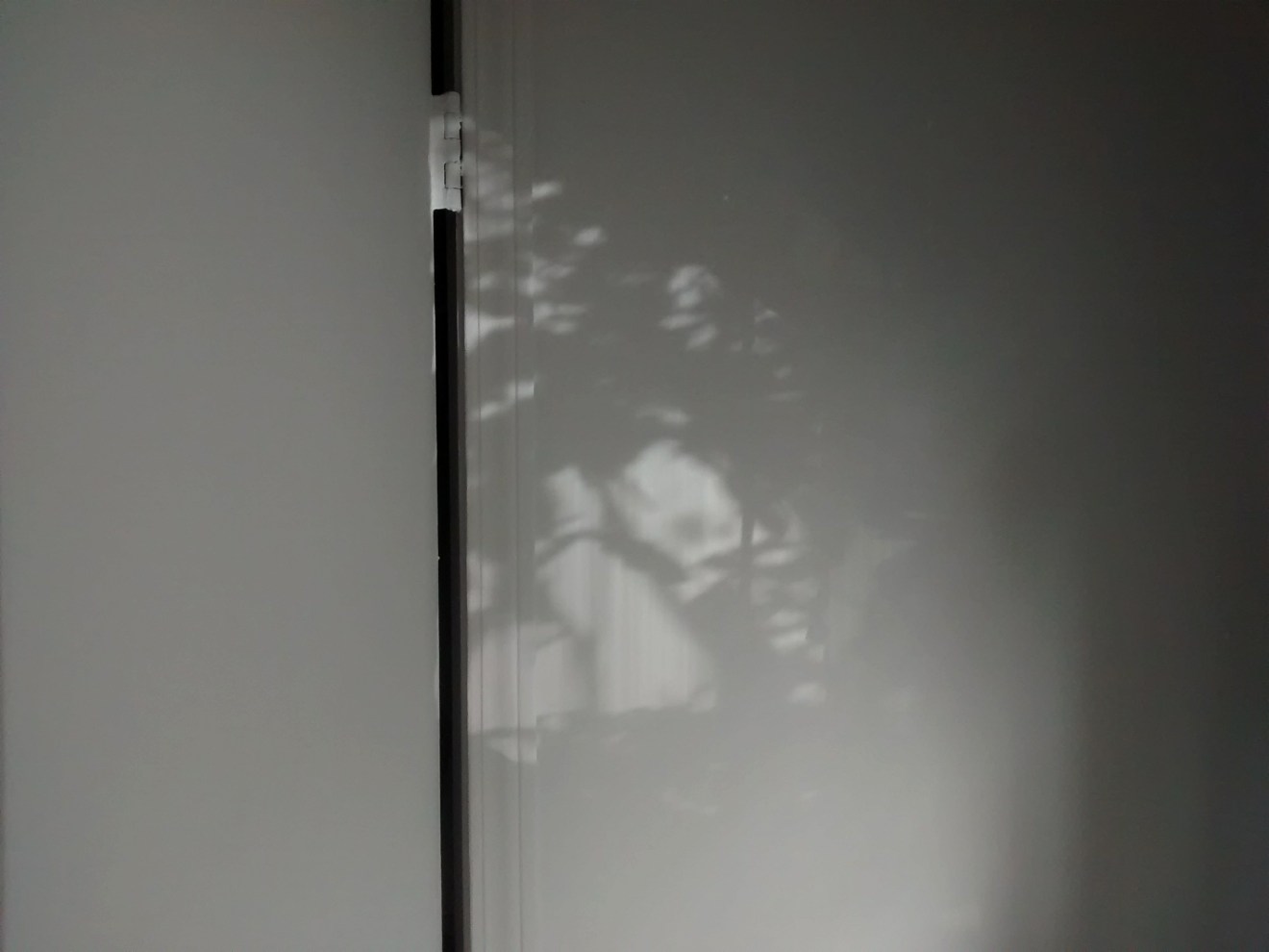 a prayer for middle places – lynnette therese sauer