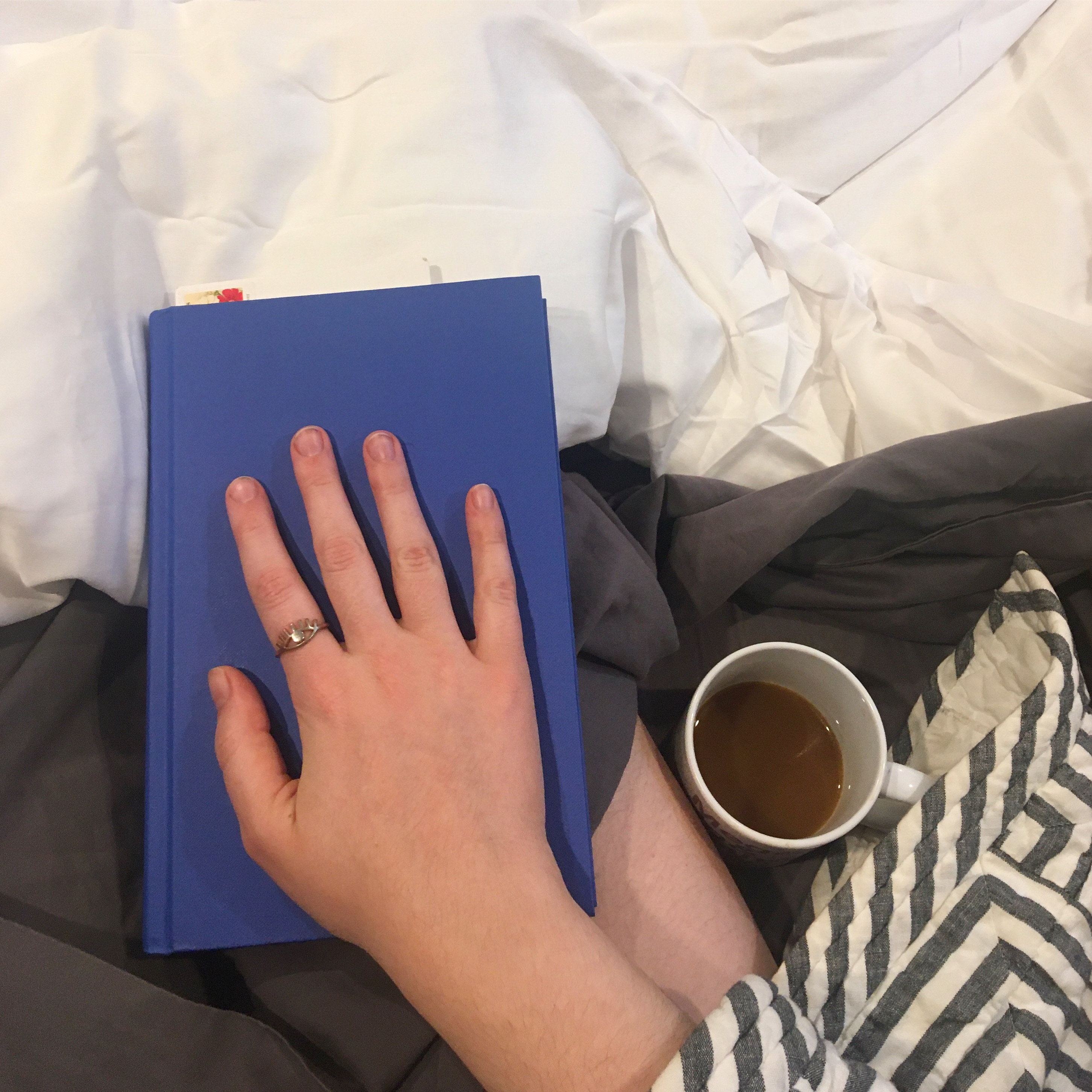 books (2020) – lynnette therese sauer